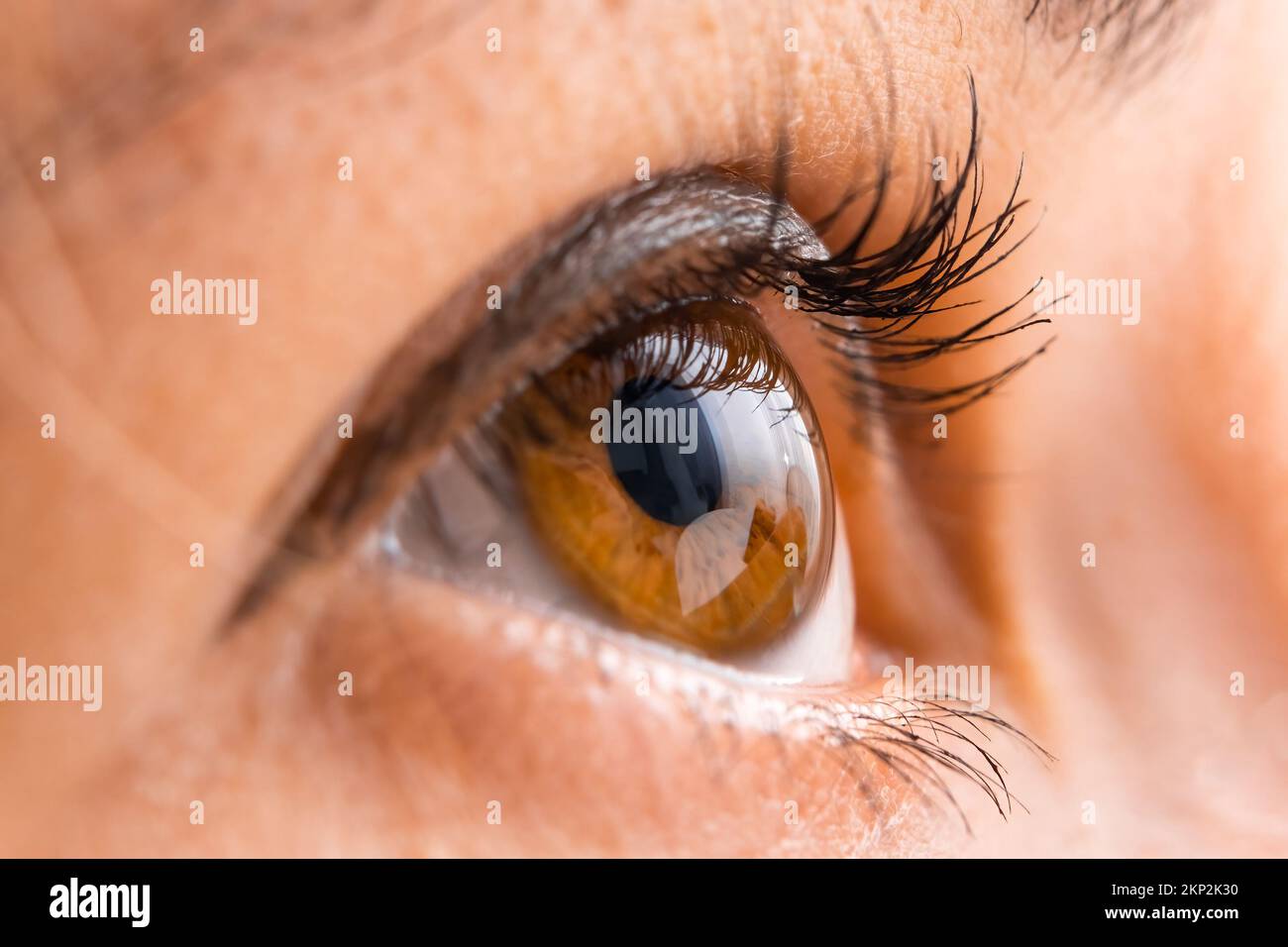 Procedure for eyelashes hi-res stock photography and images - Alamy