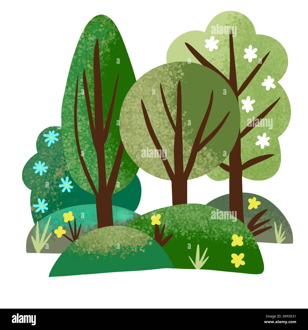 Hand drawn illustration of summer spring forest wood trees with flowers ...
