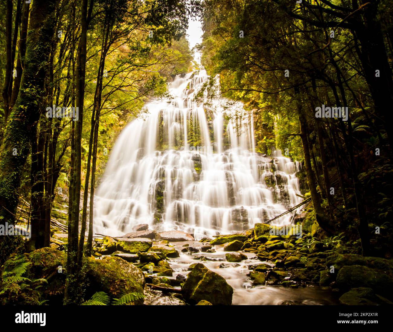 Wondrous horizontal background on soft gushing water flowing down a rainforest hinterland stream ...