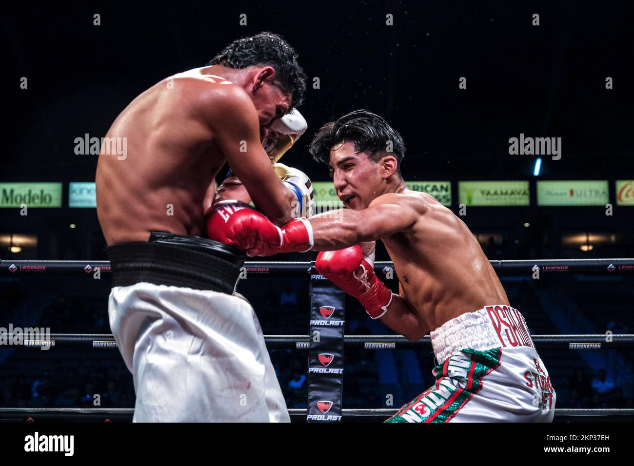 Adam rodriguez 2022 hi-res stock photography and images - Alamy