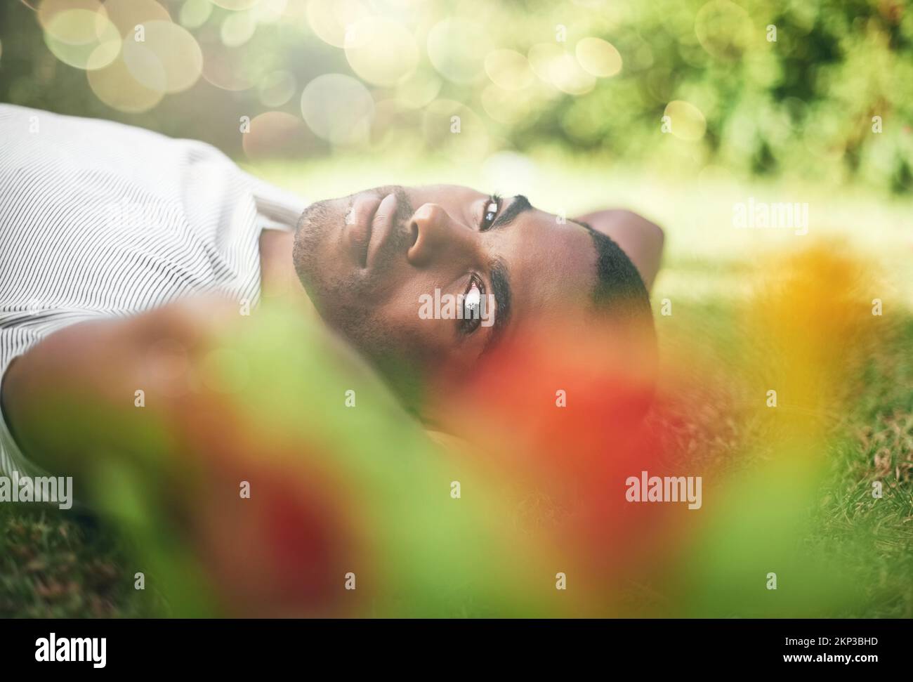 Reacquainted hi-res stock photography and images - Alamy