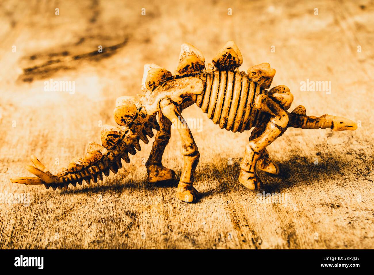 Artificial toy bones of a historical Stegosaurus skeleton in a ...