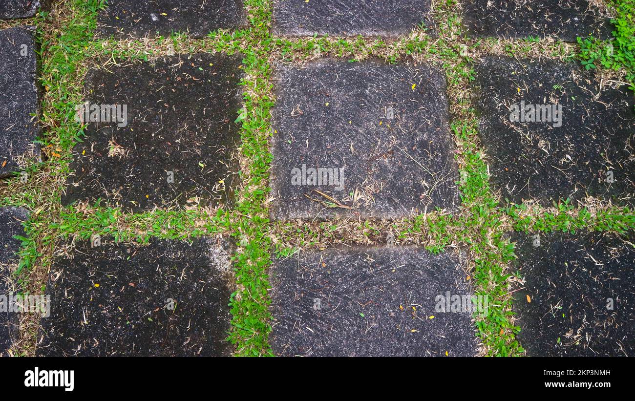 concrete block road with green grass in between. as background Stock ...