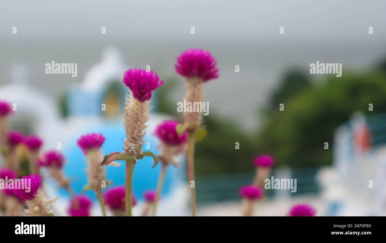 Sparkly purple background hi-res stock photography and images - Alamy