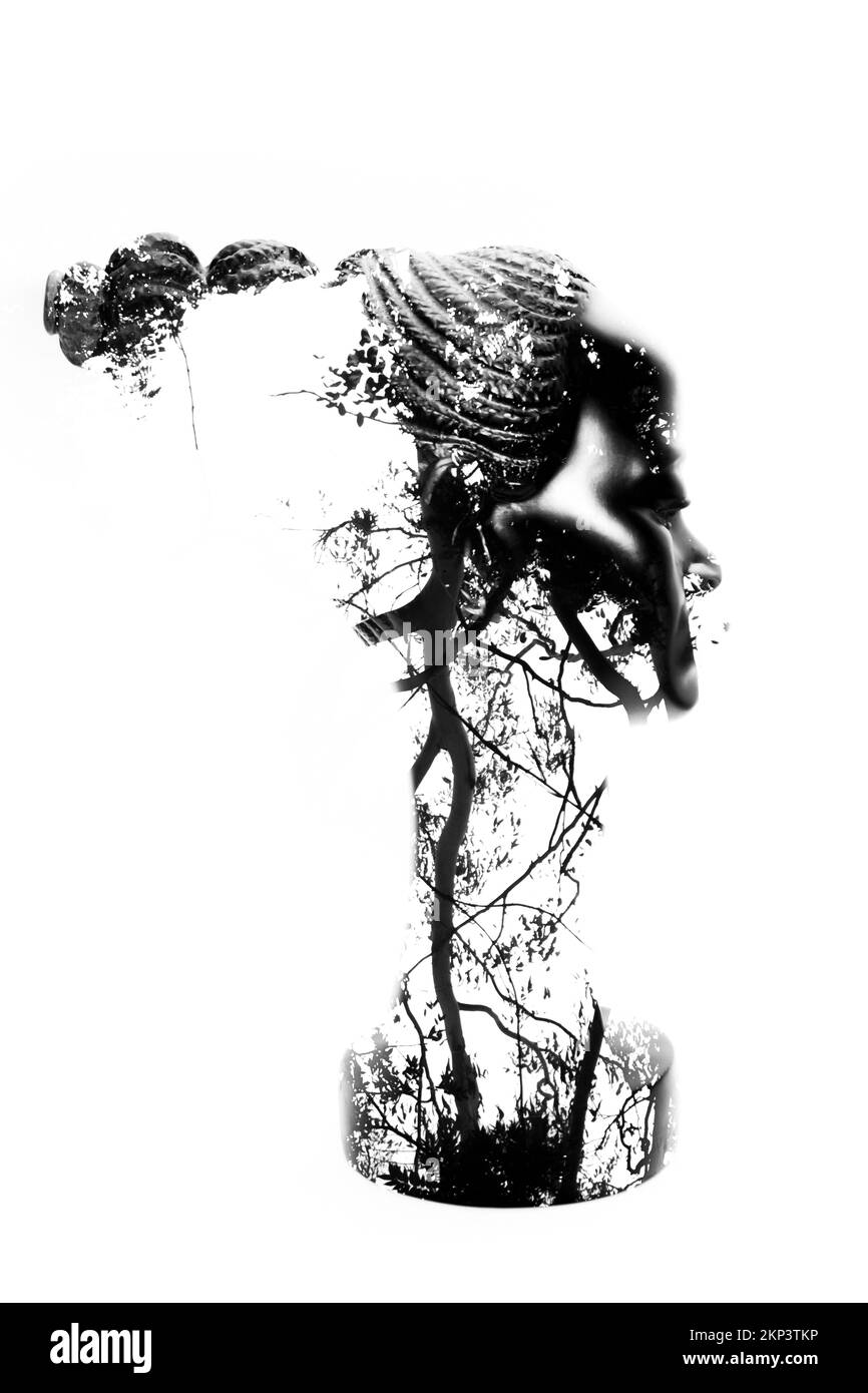 See through overlay Cut Out Stock Images & Pictures - Alamy