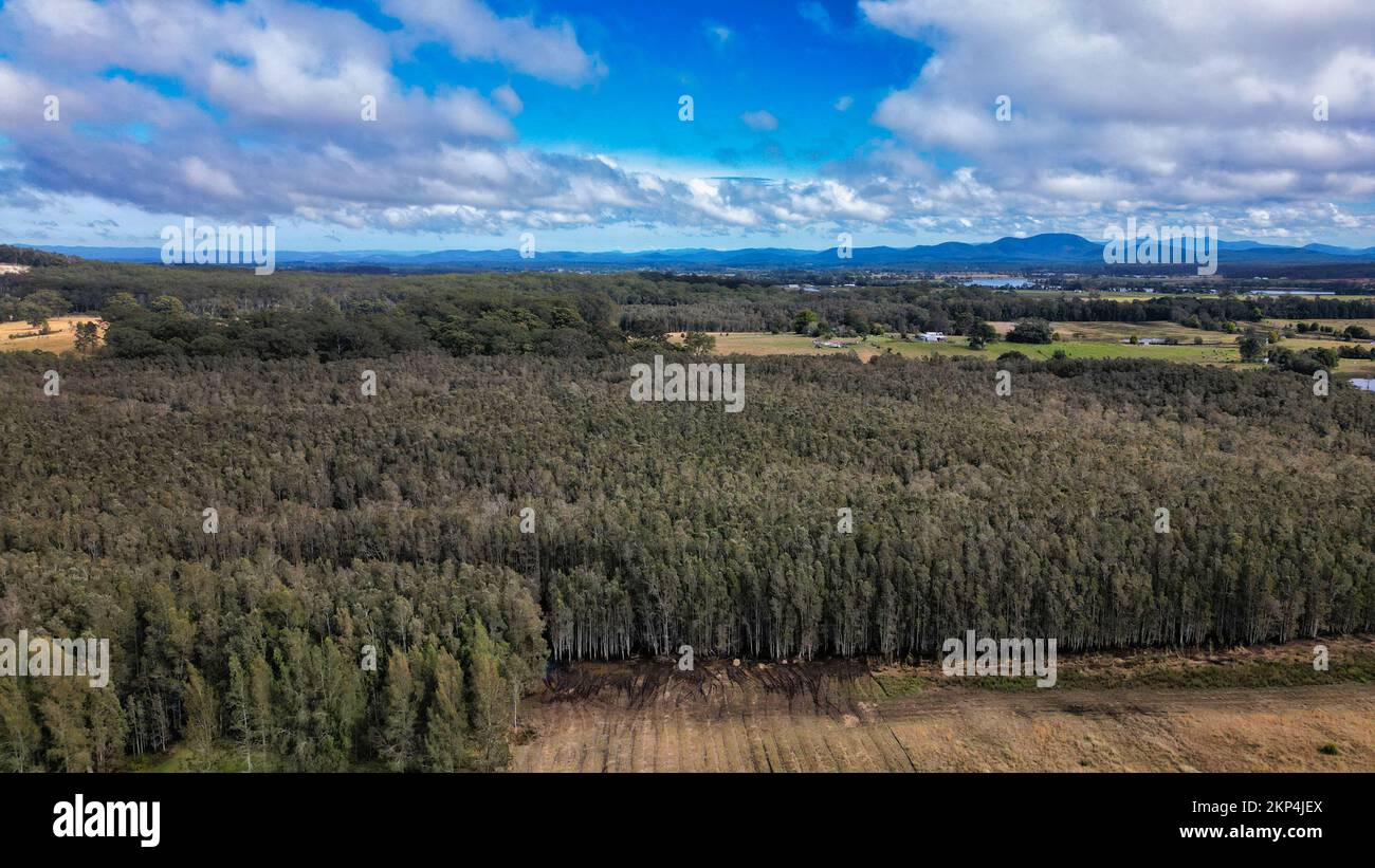 An aerial view of a landscape with trees under the blue cloudy sky in ...