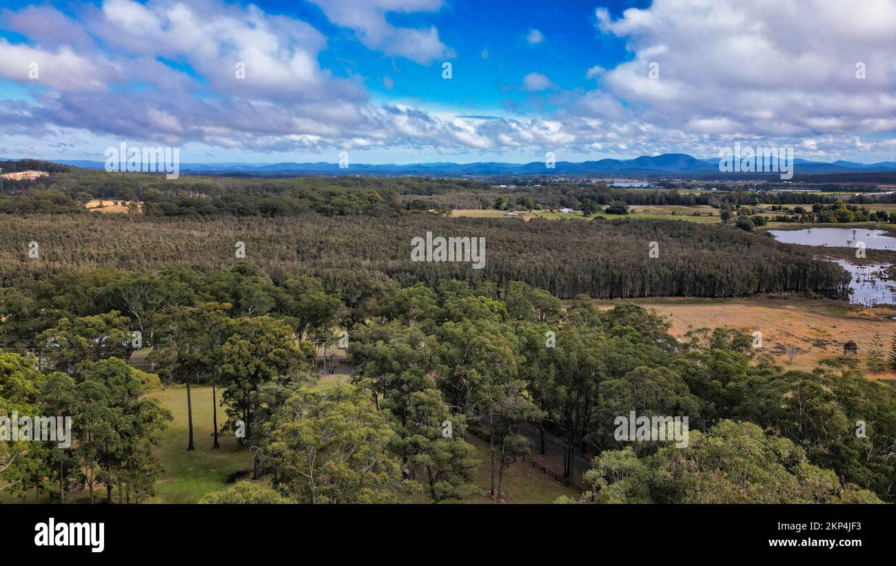 An aerial view of a landscape with trees under the blue cloudy sky in ...