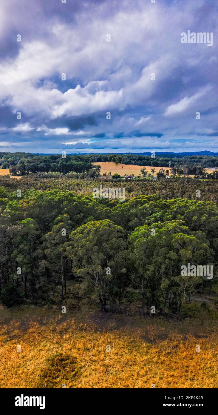 The vertical aerial view of fields and forest under the cloudy sky in ...