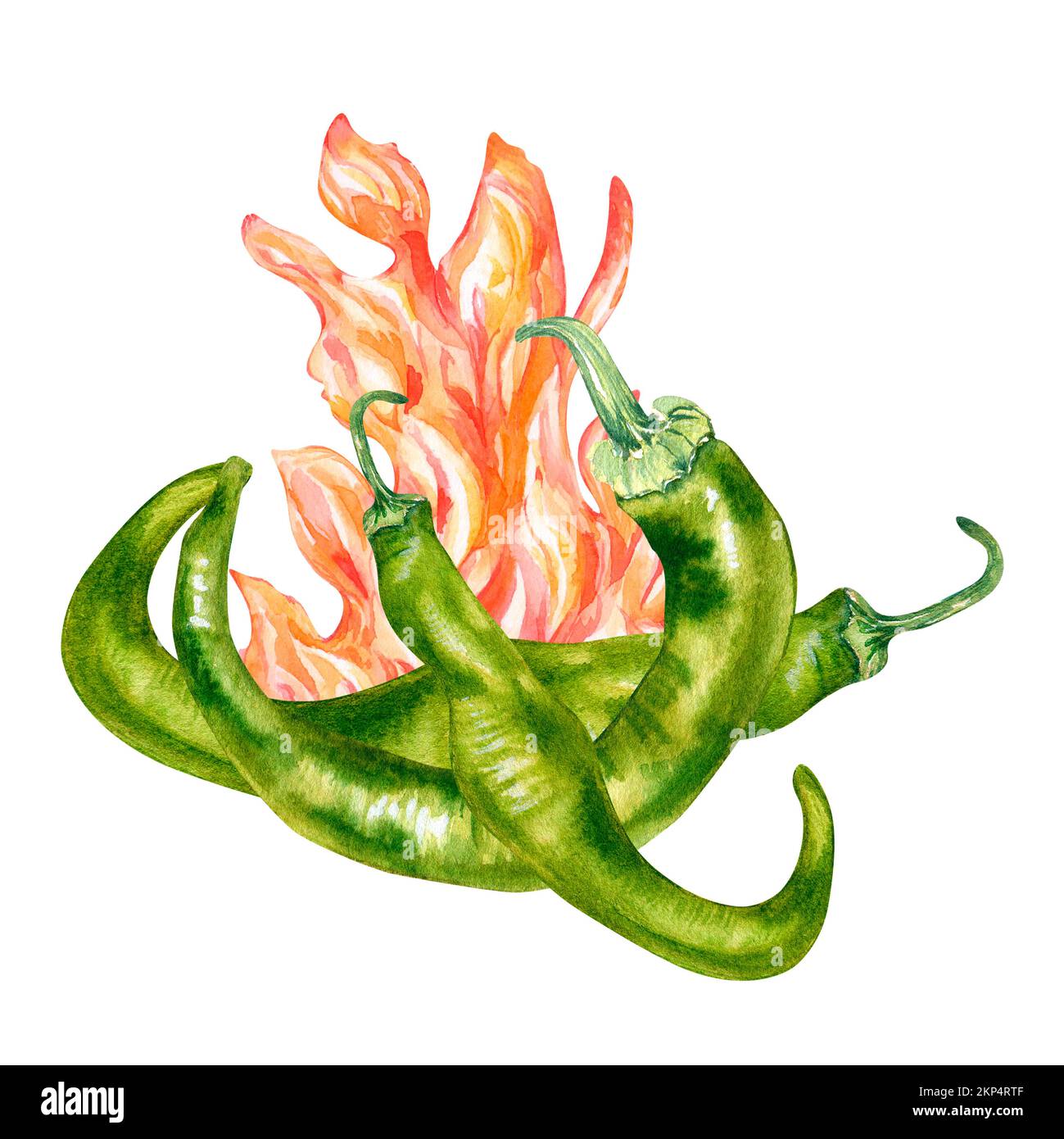 Green chili hot peppers on fire watercolor illustration isolated on ...