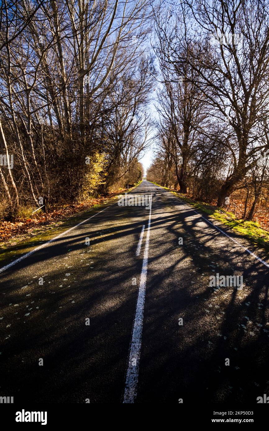 Colourful roadside woodland hi-res stock photography and images - Alamy