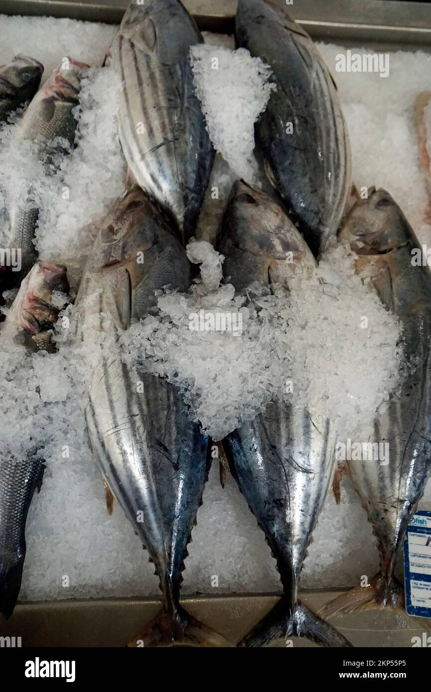 fresh fish from the traditional market in funchal, madeira Stock Photo ...