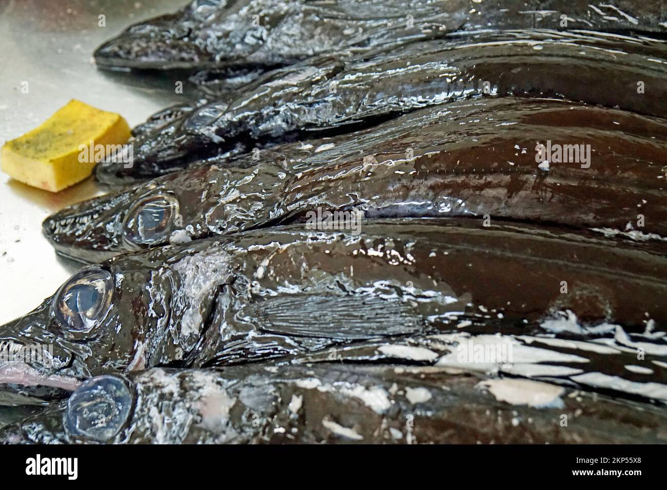 fresh fish from the traditional market in funchal, madeira Stock Photo ...
