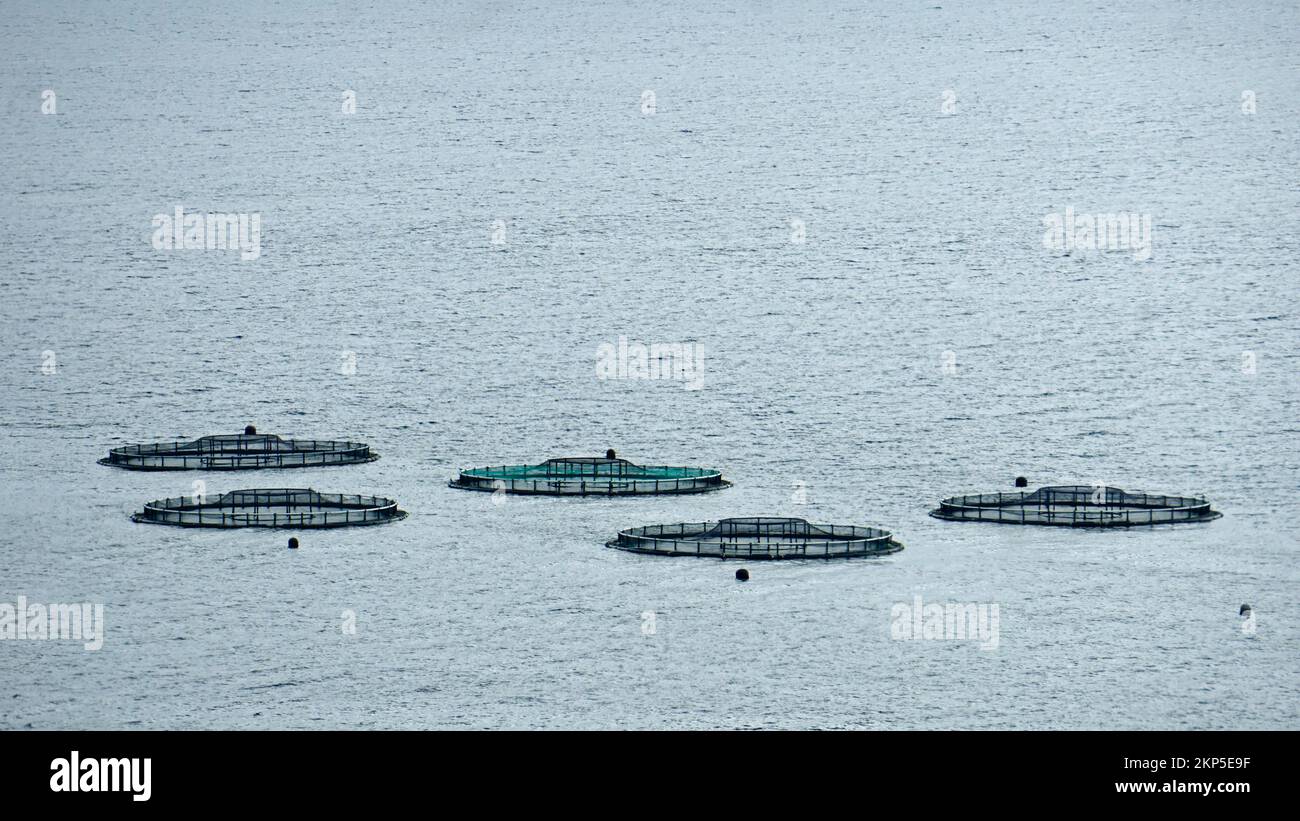 fish farm in the atlantic ocean on madeira island Stock Photo - Alamy