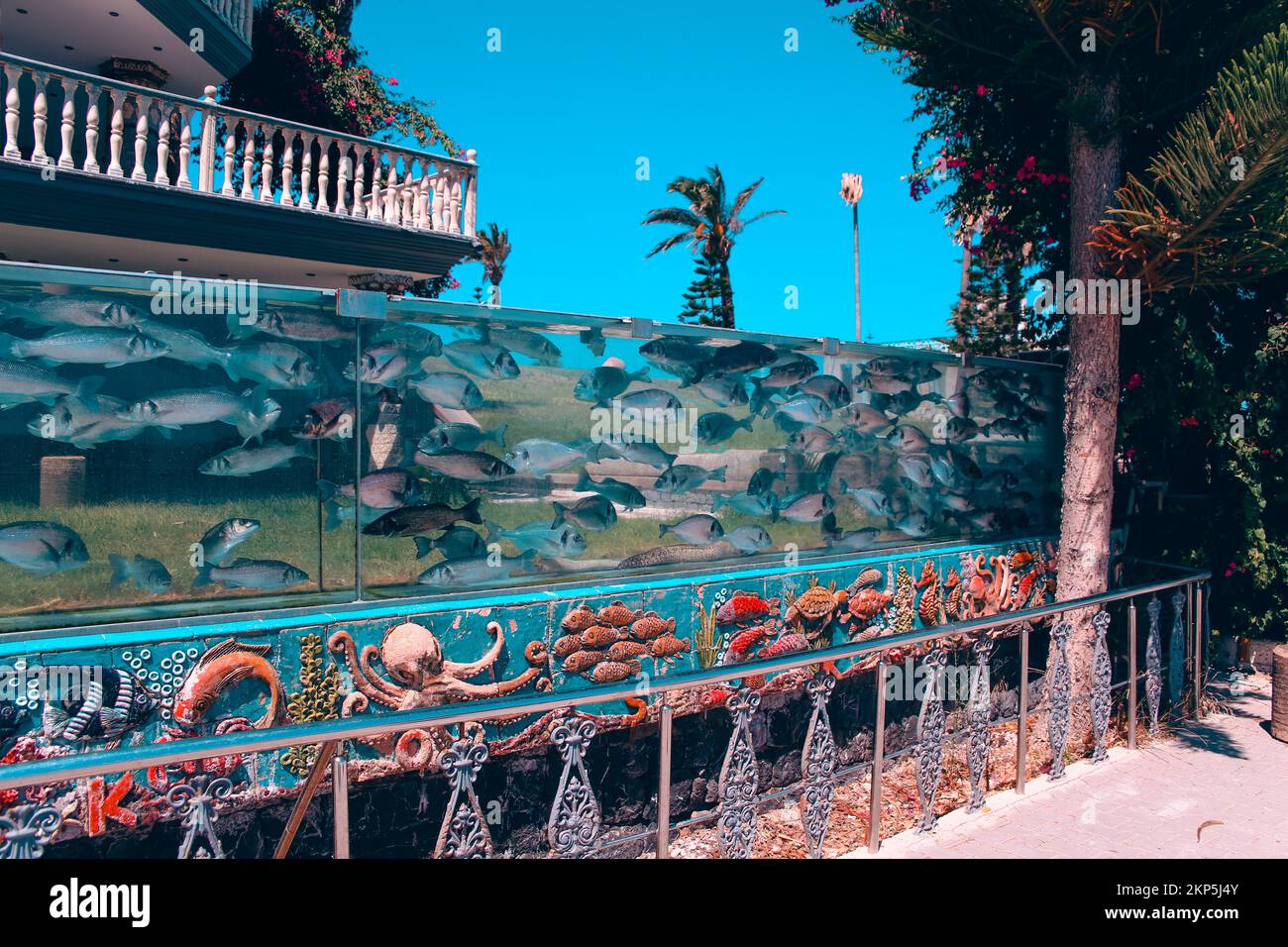 Fish aquarium floating in glass wall Stock Photo - Alamy