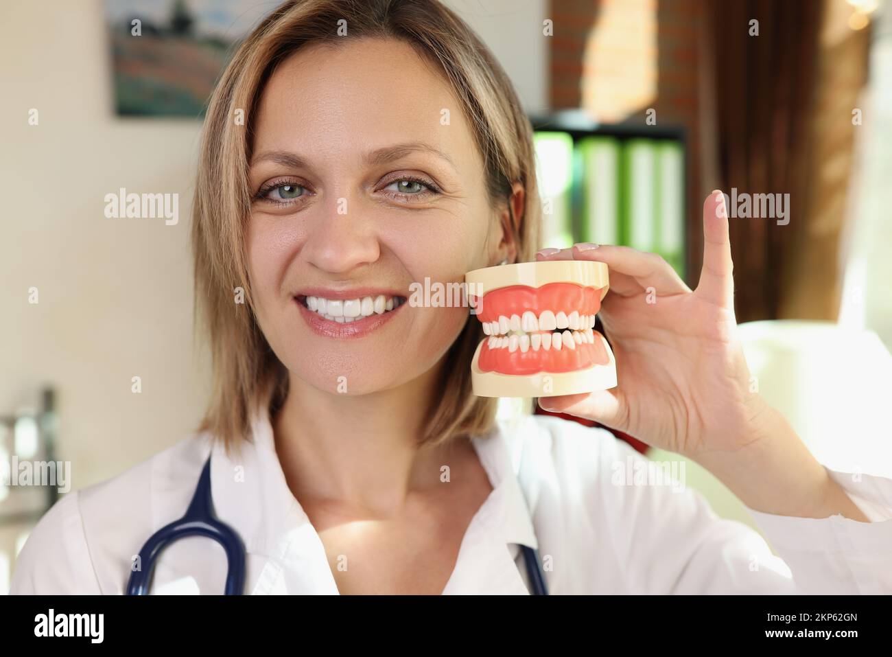 Dental model jaw in hands hi-res stock photography and images - Alamy