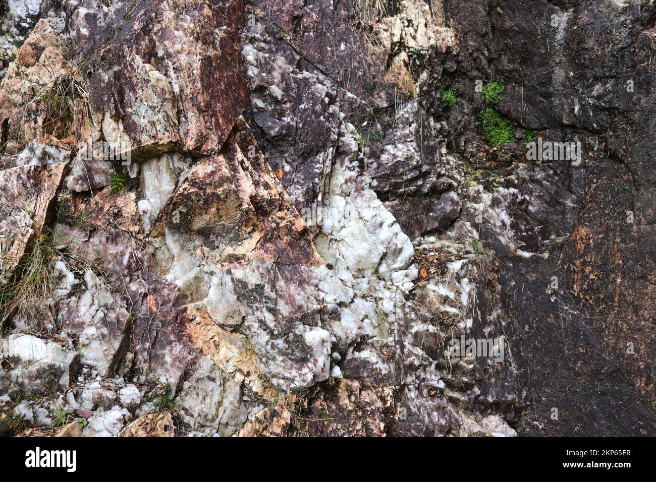 An old grungy feldspar wall texture in a forest in Sweden covered in ...