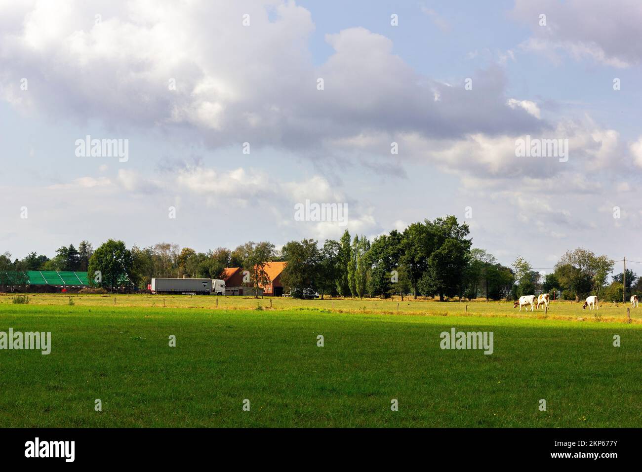An aerial view of greenery field surrounded by dense trees Stock Photo ...