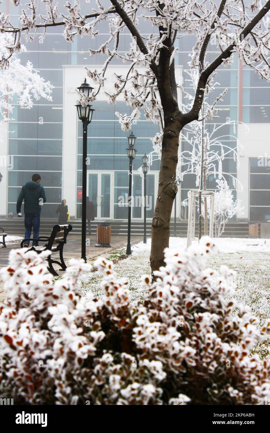 University campus in the winter hi-res stock photography and images - Alamy