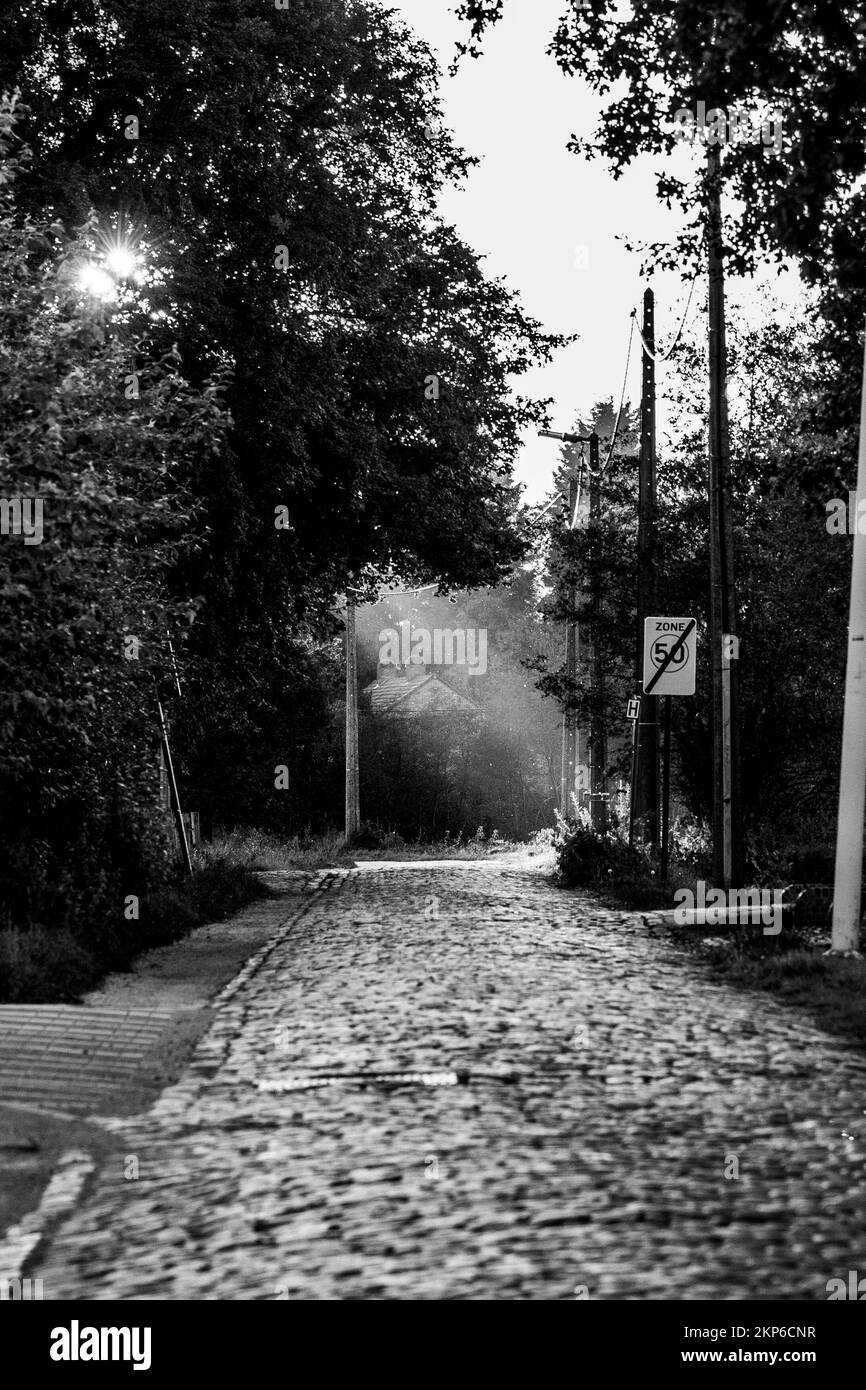 A vertical grayscale of a cobblestone pathway in the park Stock Photo ...