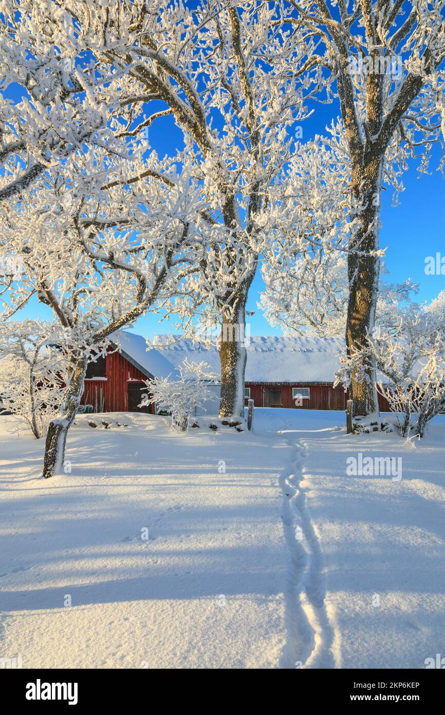 Red barn in the snowy countryside Stock Photo - Alamy