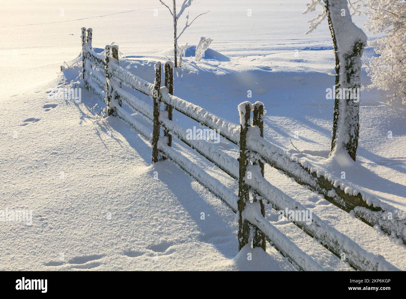 Frosted garden fence hi-res stock photography and images - Alamy