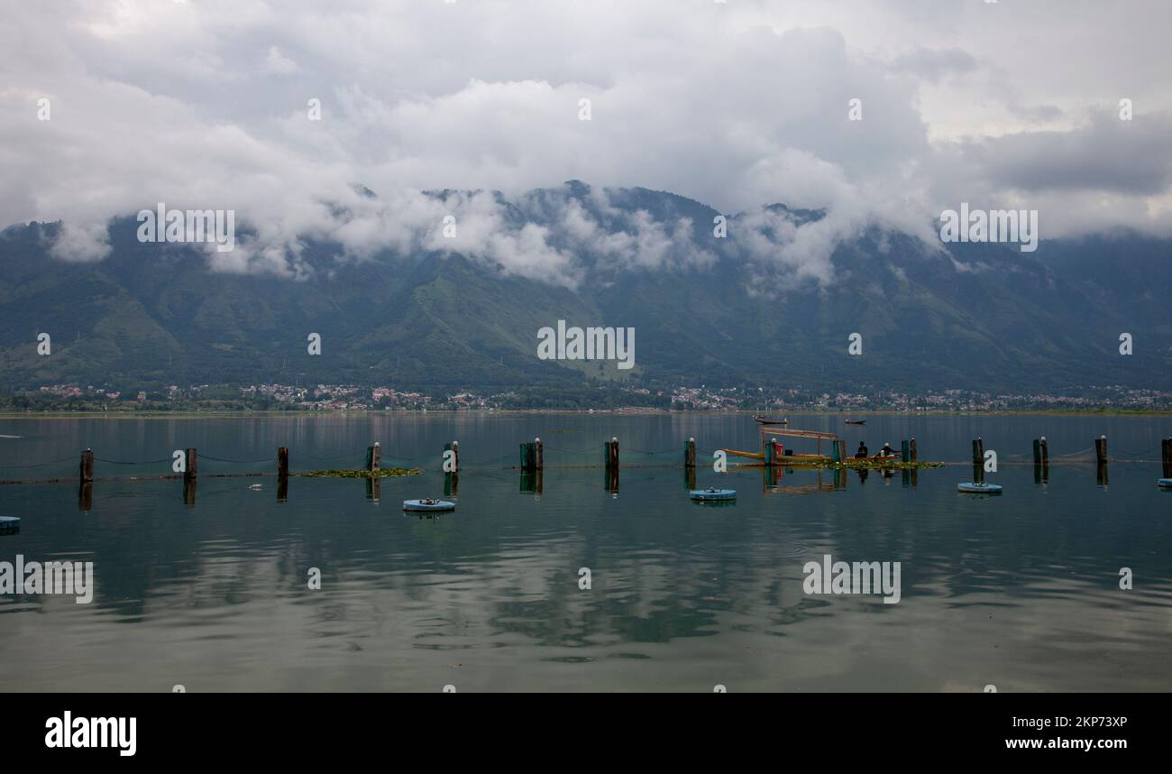 Srinagar, Kashmir, India : A view of Dal Lake and the beautiful ...
