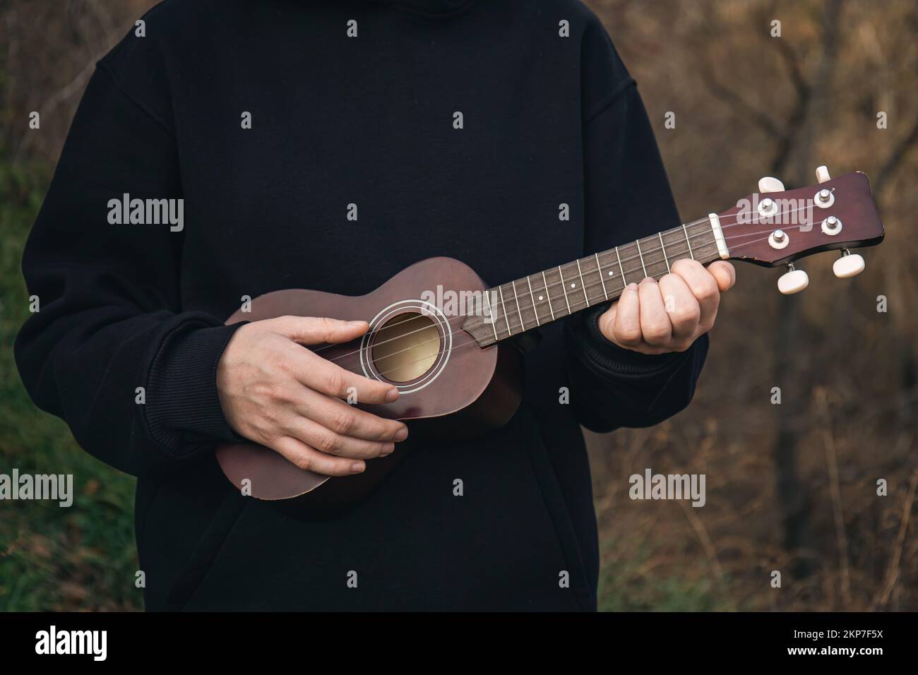 A man plays the ukulele guitar in nature, blurred background Stock ...