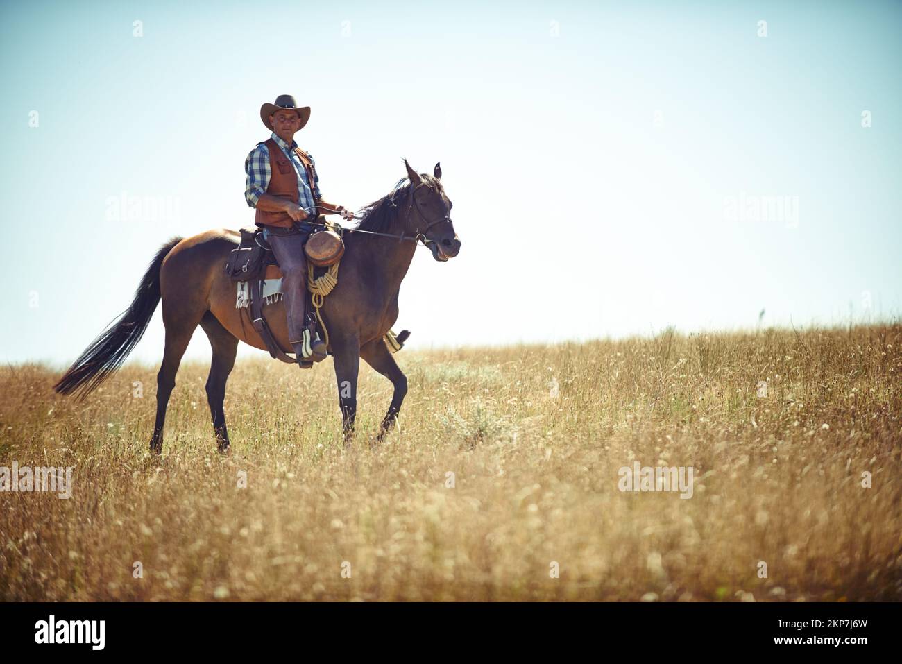 Yeeha. Full-length portrait of a mature man on a horse out in a field ...