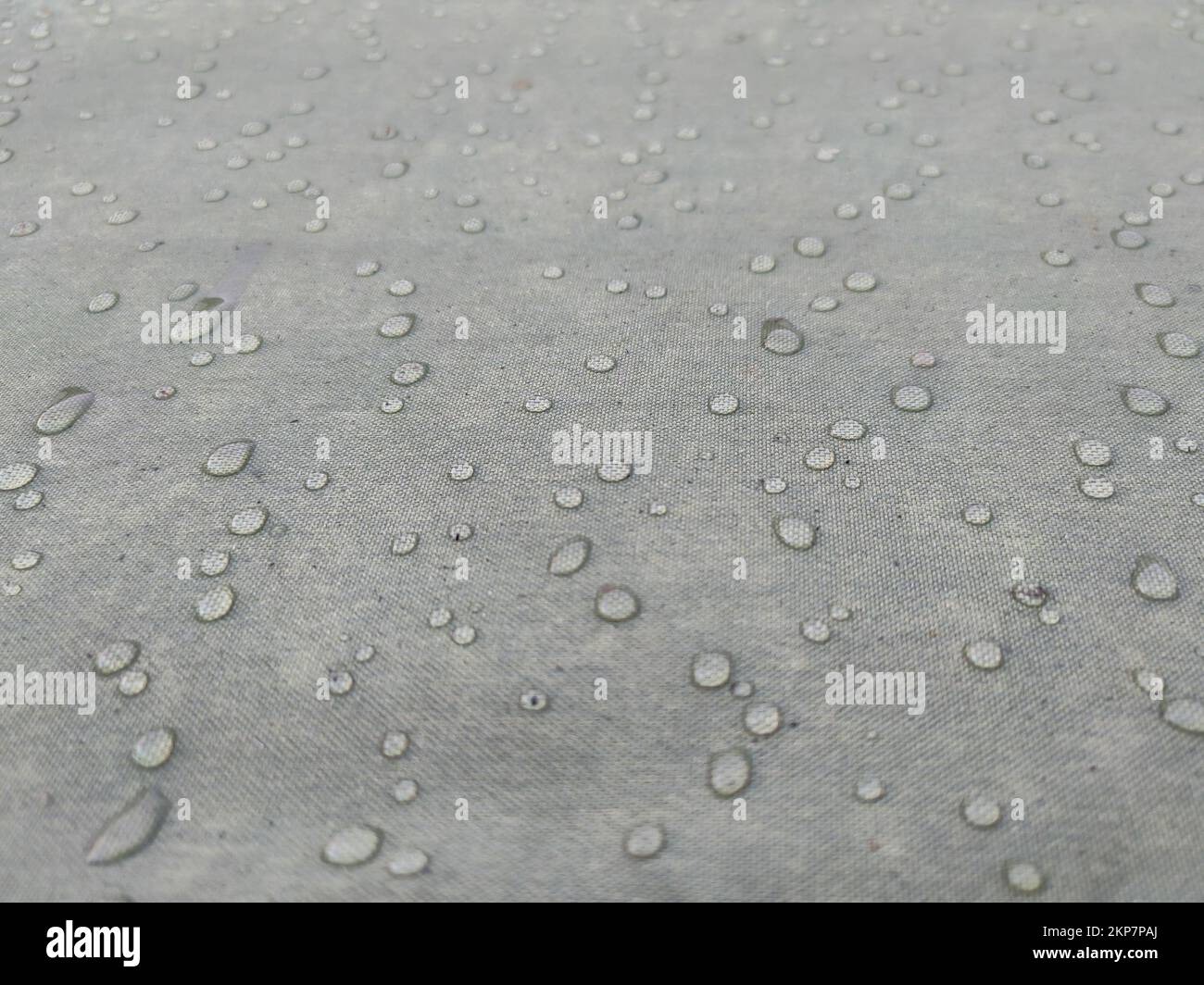 Gray fabric with dew drops. Gray water-repellent fabric for furniture ...