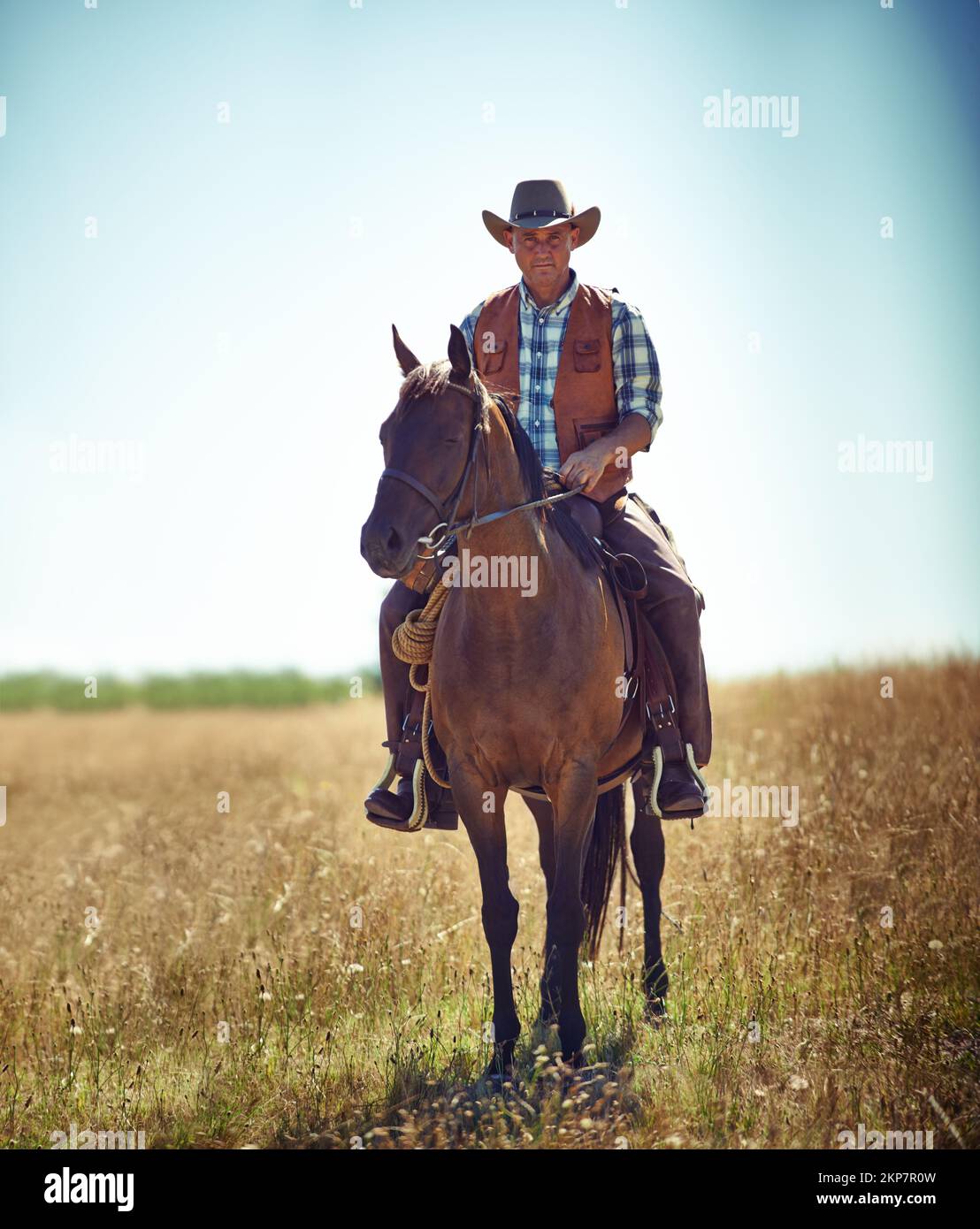 Yeeha. Full-length portrait of a mature man on a horse out in a field ...