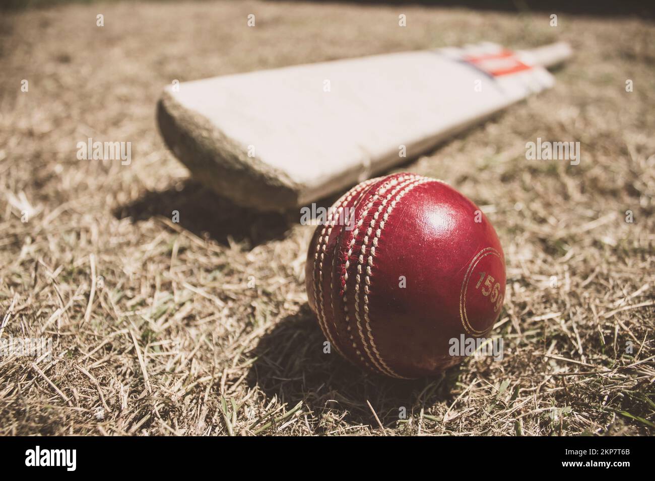Backyard cricket hi-res stock photography and images - Alamy
