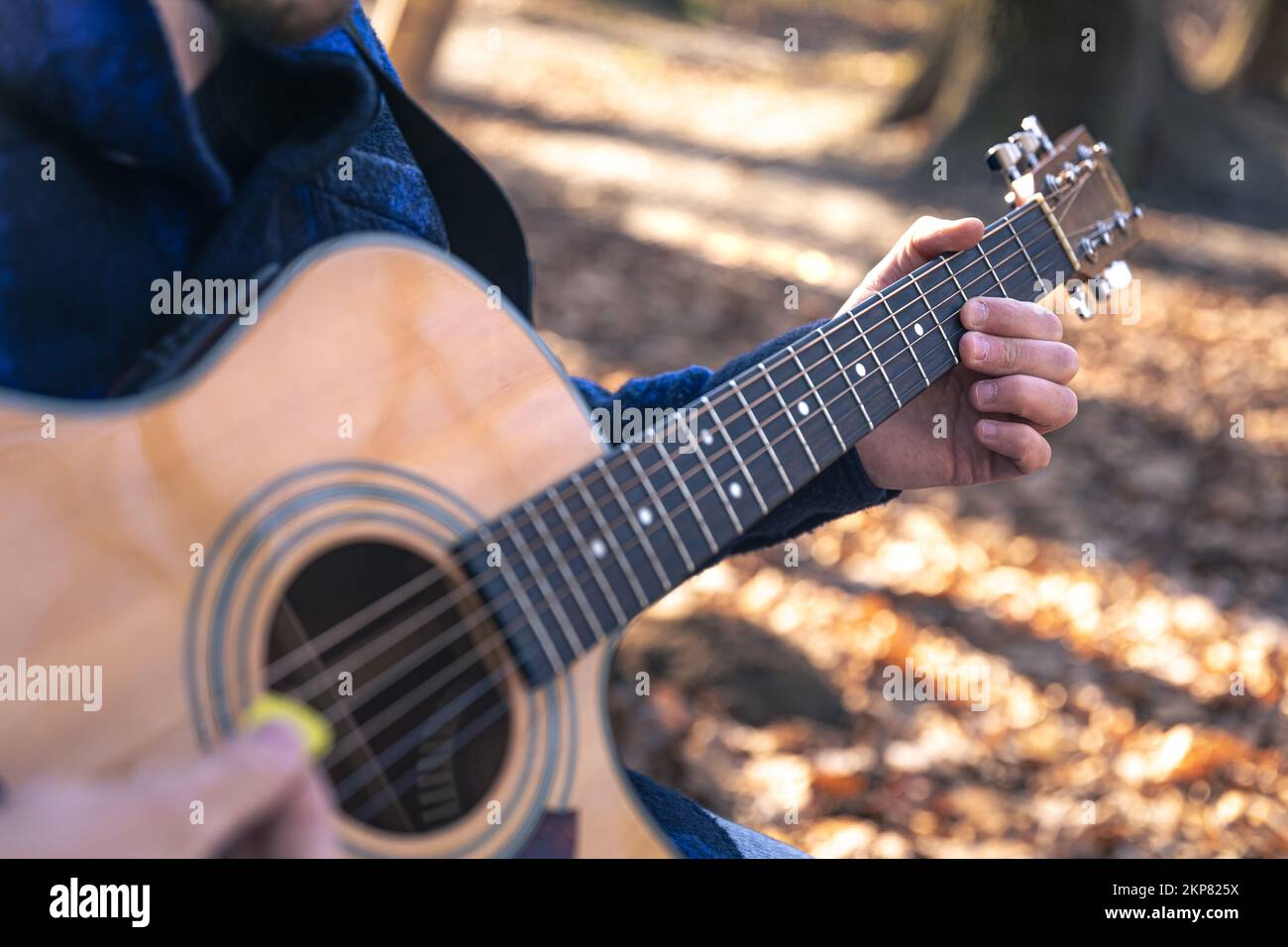 Close-up, a man plays an acoustic guitar in the autumn forest Stock ...
