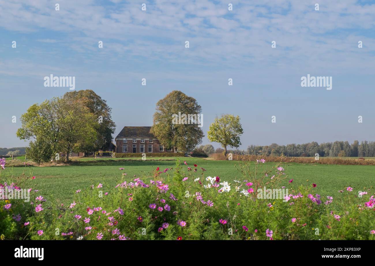 Edge protection hi-res stock photography and images - Alamy