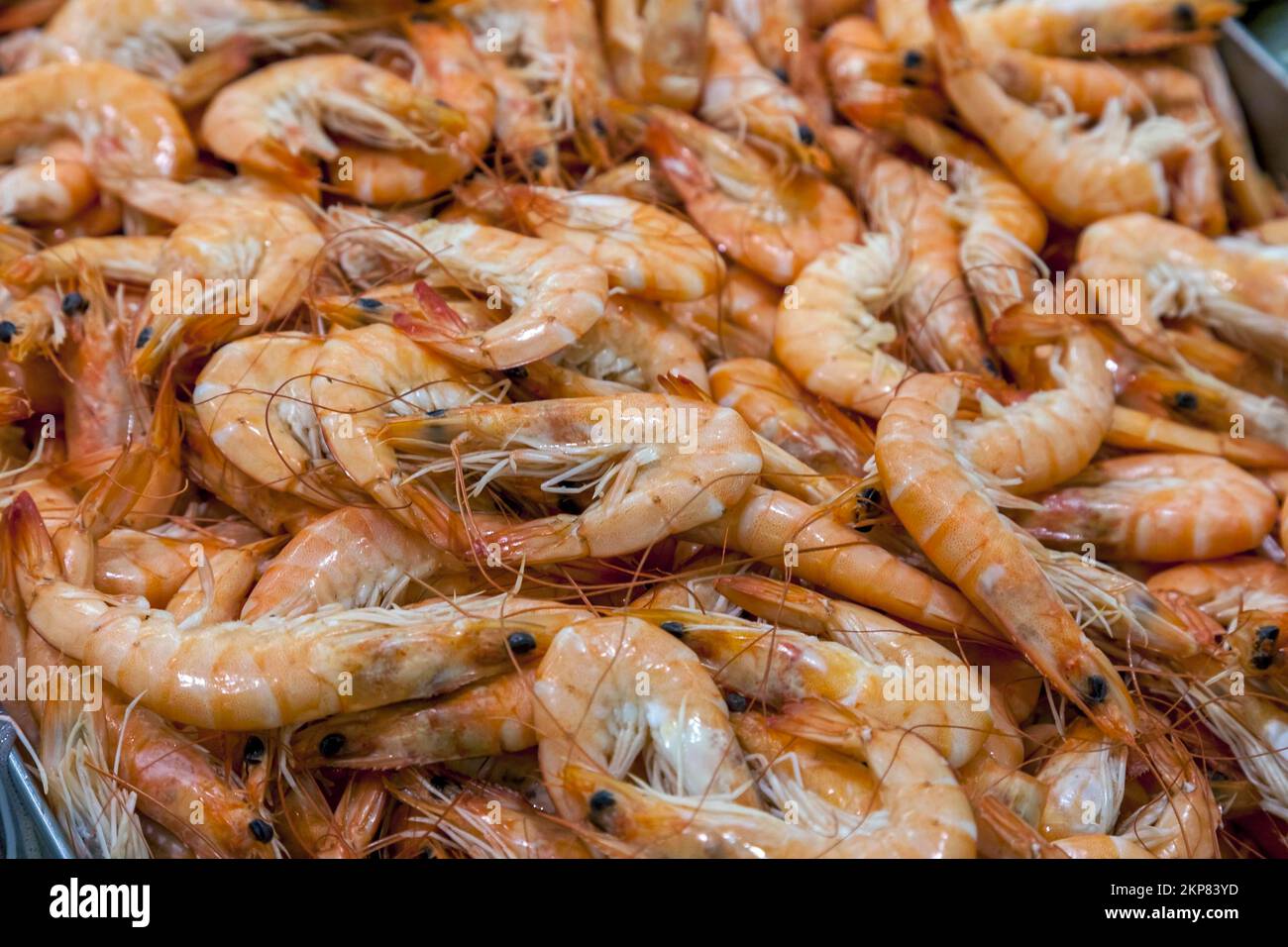 Sale of seafood, prawns, shrimps, scampi, Majorca, Balearic Islands ...