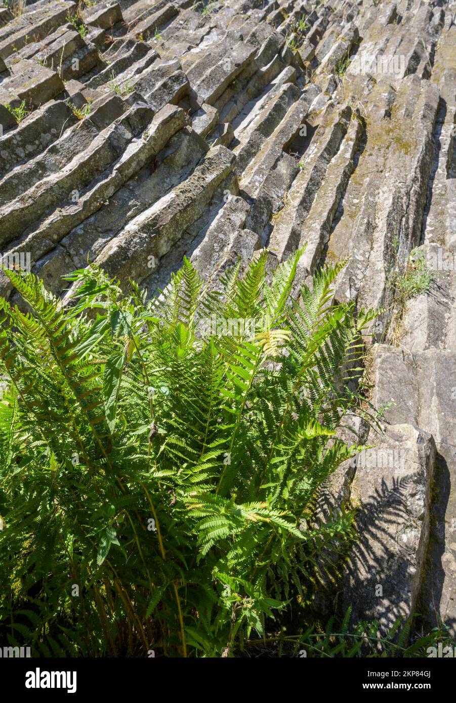 Basalt rock Rotavské varhany (Glass Mountain), Rotava, Karlovarský kraj ...