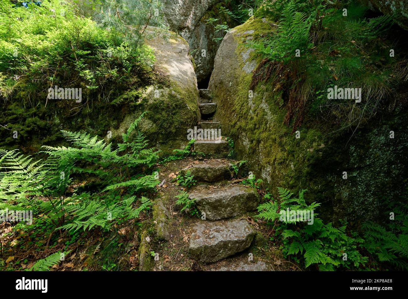 Rock, path, stairs, Luisenburg rock labyrinth, Wunsiedel ...