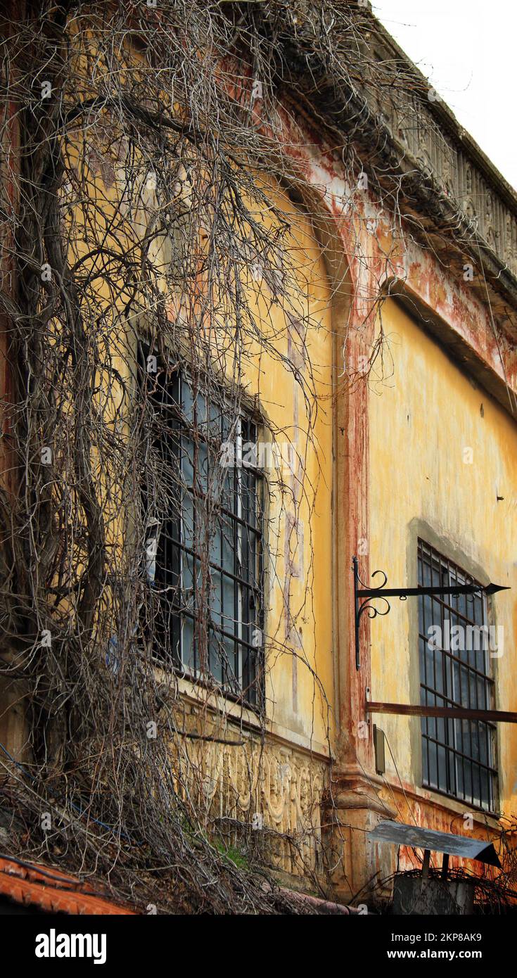Traditional lebanese building hi-res stock photography and images - Alamy