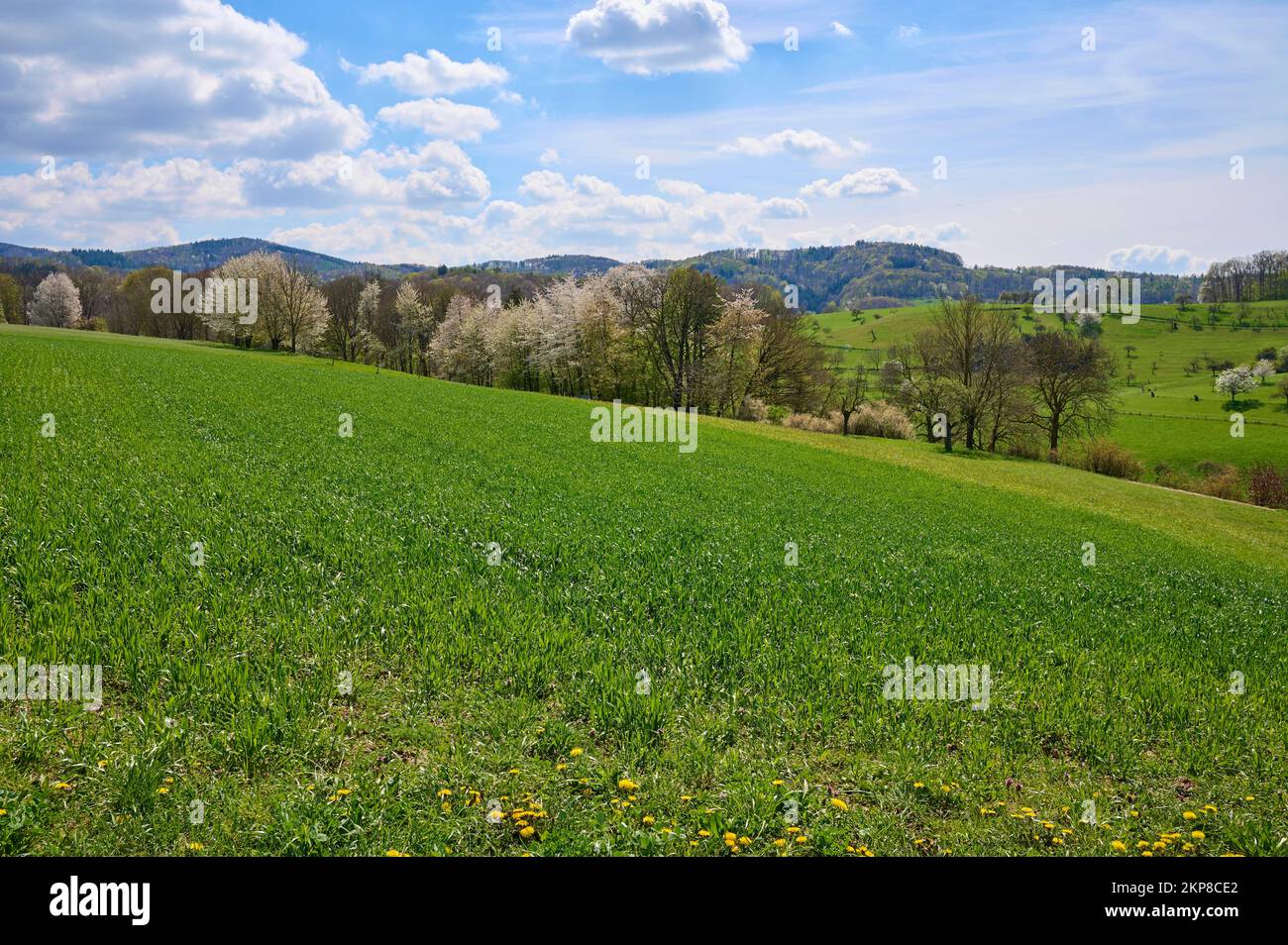Landscape, low mountain range, spring, Birkenau, Odenwald, Hesse ...
