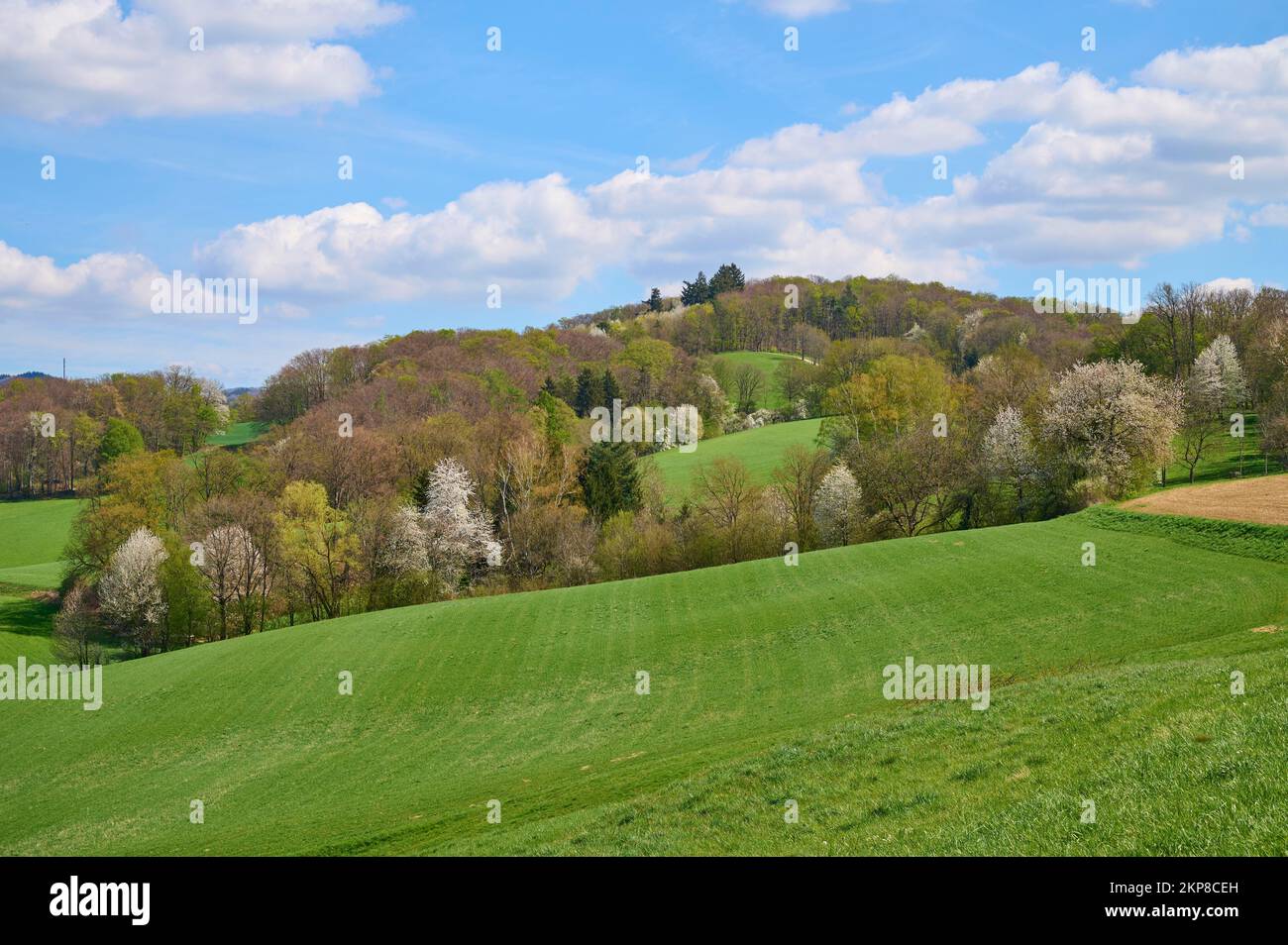 Landscape, low mountain range, spring, Birkenau, Odenwald, Hesse ...