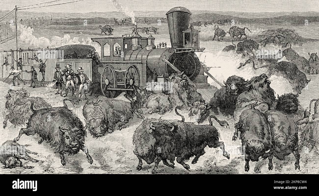 Bison hunt railroad hi-res stock photography and images - Alamy