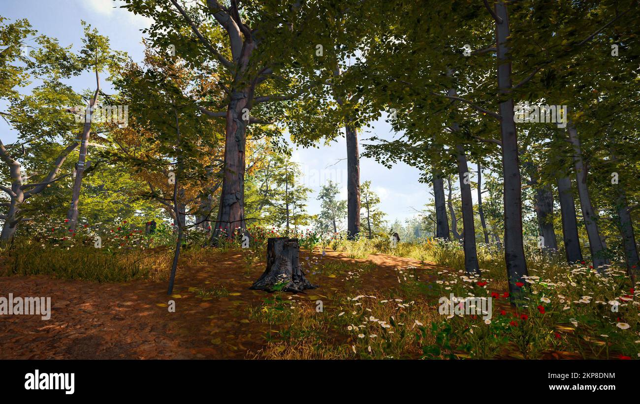 3D rendering. An immersive natural environment. Landscape to illustrate ...