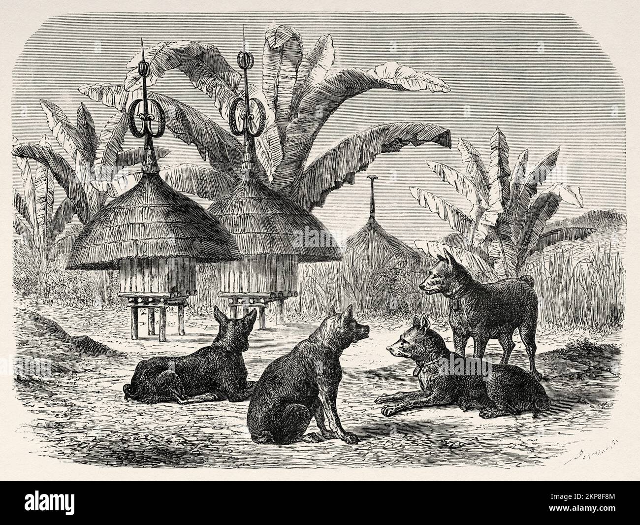 Dogs and barns on stilts of the Azande people, Democratic Republic of ...