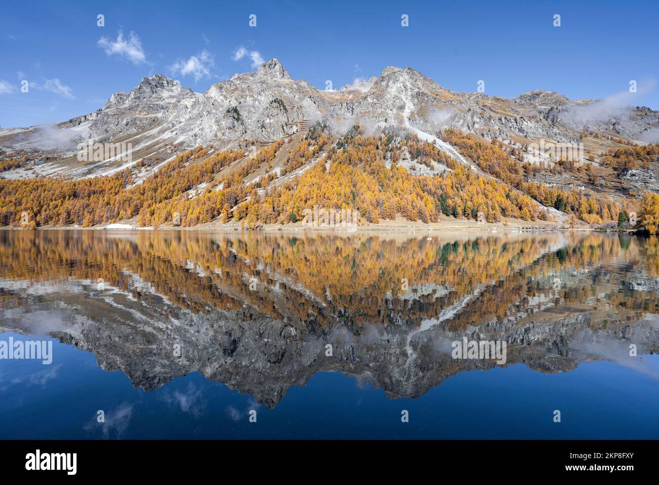 Piz Lagrev reflected in Lake Sils in autumn, colourful larches, Sils im ...