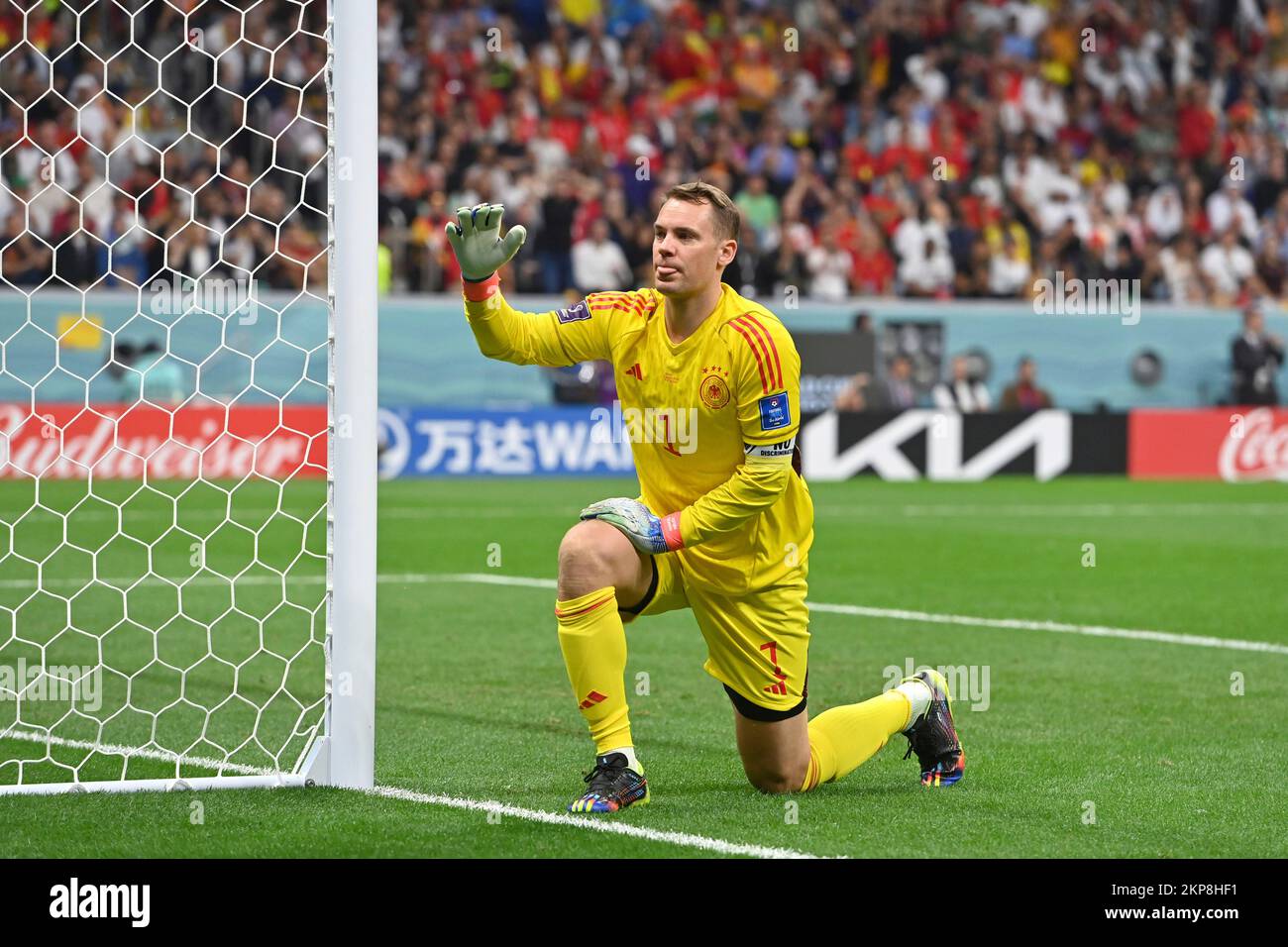 Al-Khor. 27th Nov, 2022. goalwart Manuel NEUER (GER) on the ground ...