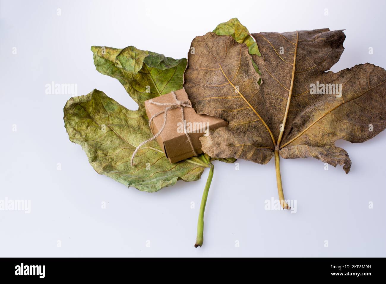 Gift box of brown color placed on a large dry leaf Stock Photo - Alamy