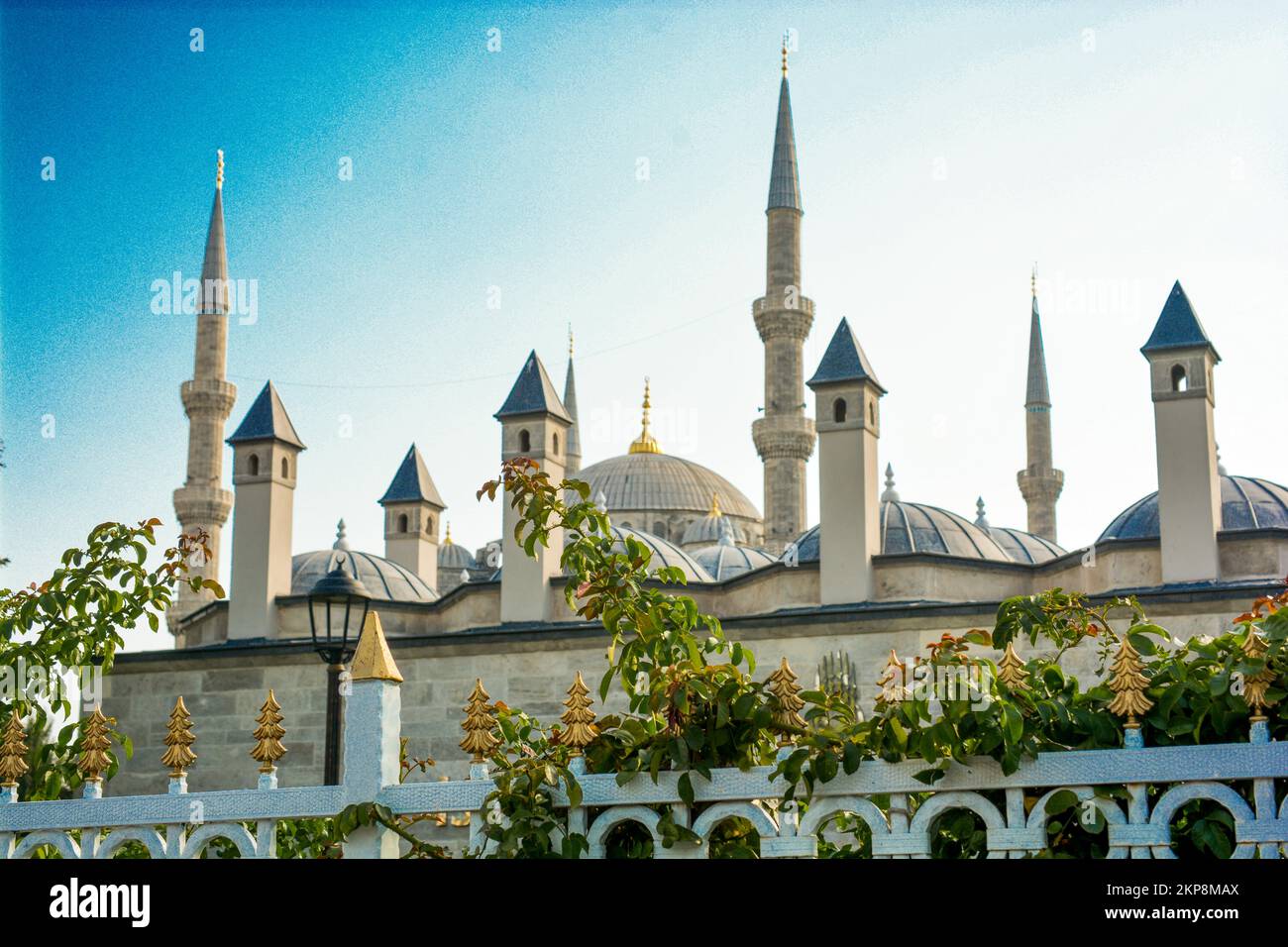 Mosque domes of Istanbul from the Ottoman times Stock Photo - Alamy