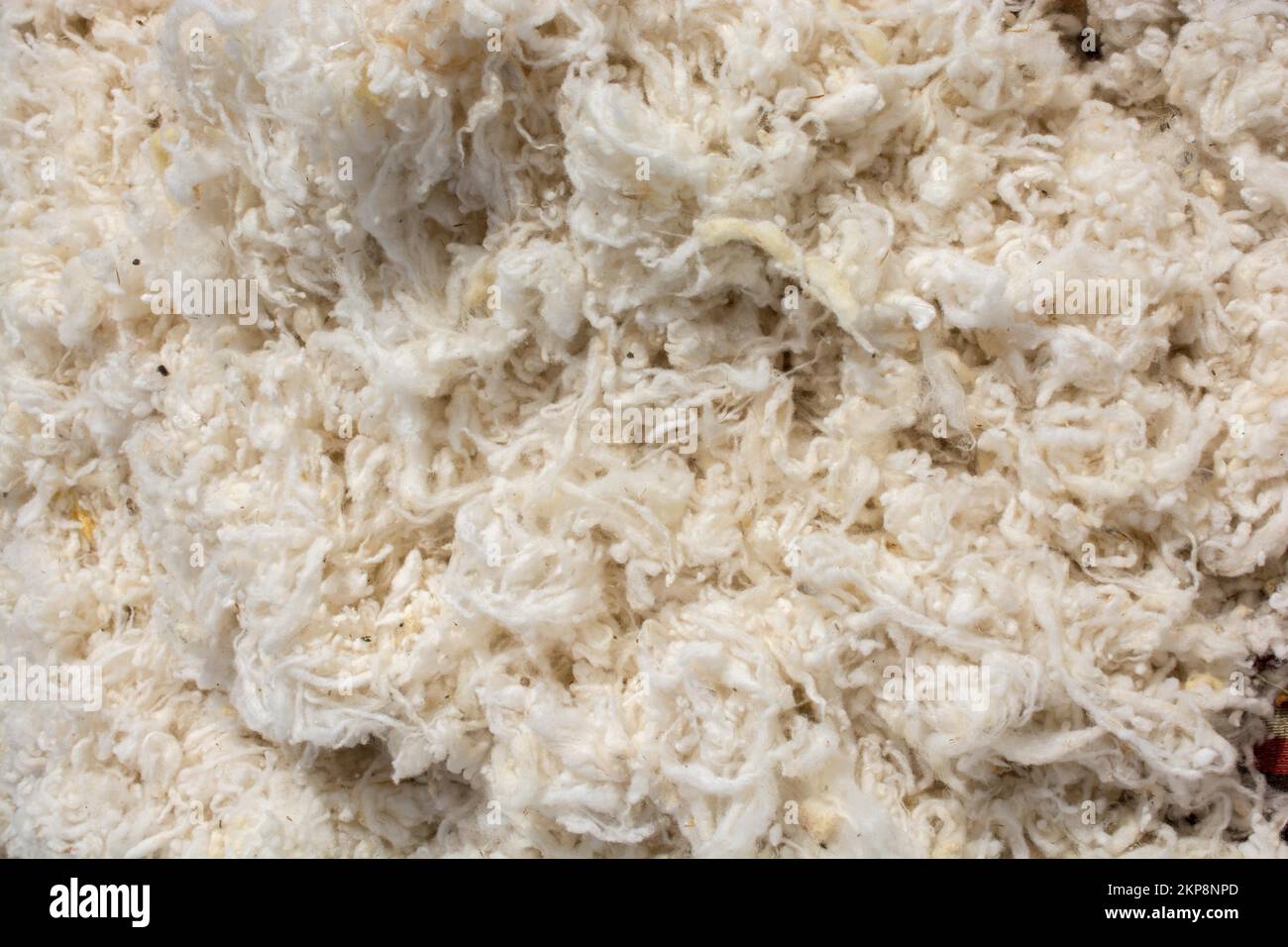 Heap of wool as a texture background Stock Photo - Alamy