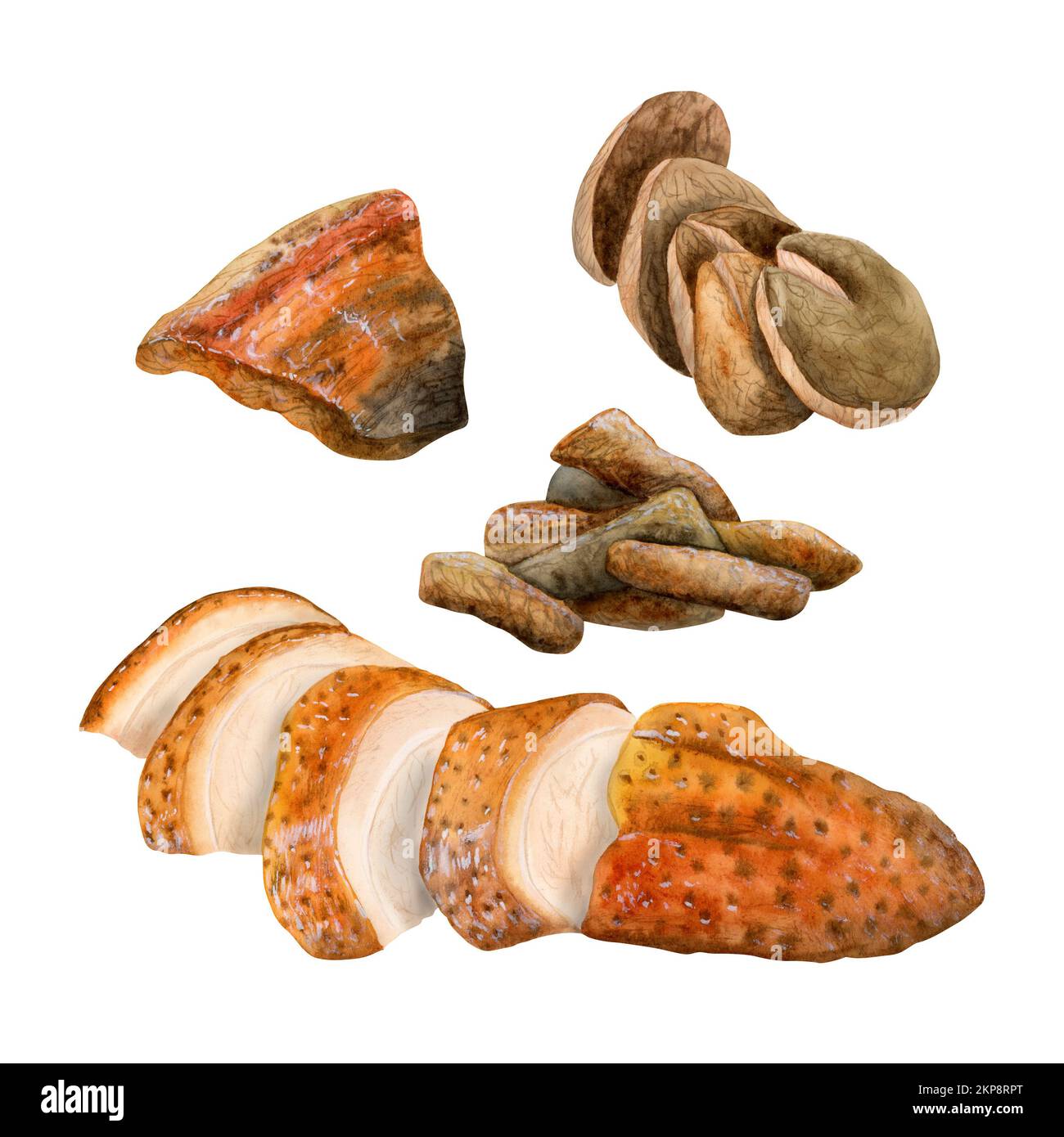 Set of fried meat watercolor illustrations on an isolated white ...