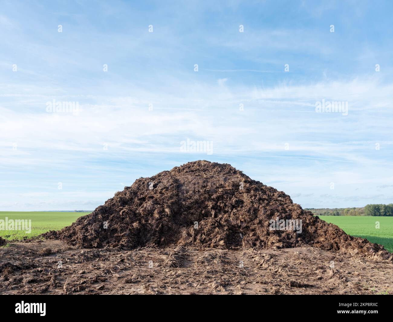large heap of dung in belgian countryside between charlerois and ...