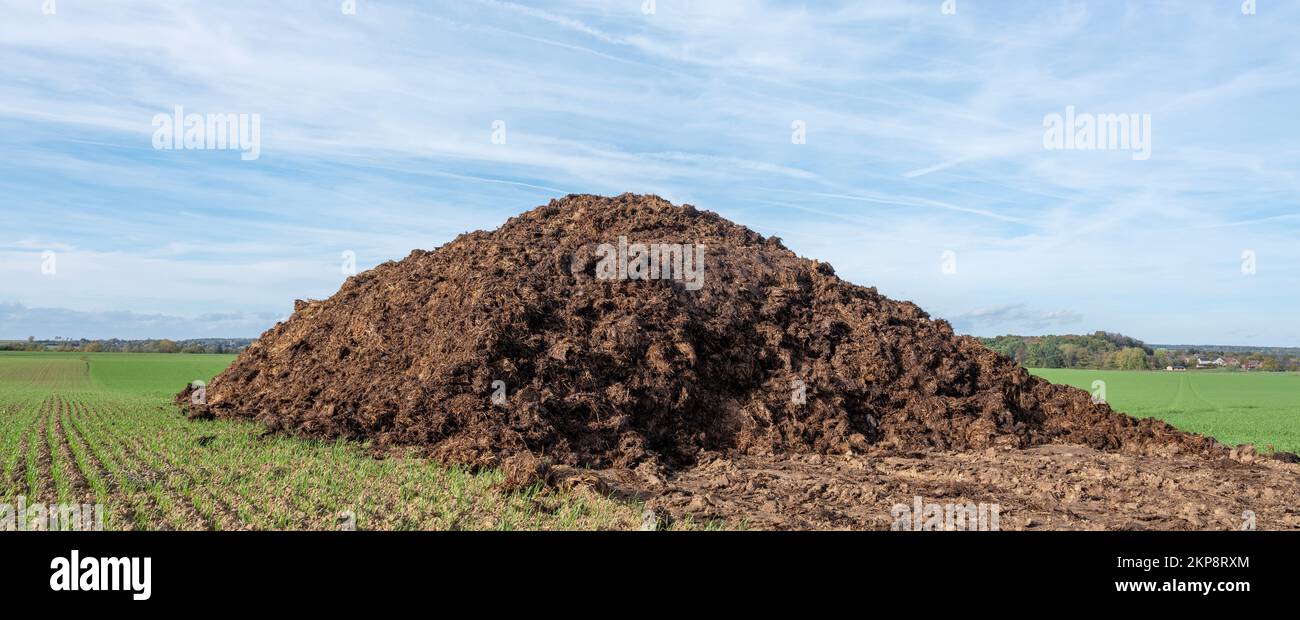 large heap of dung in belgian countryside between charlerois and ...